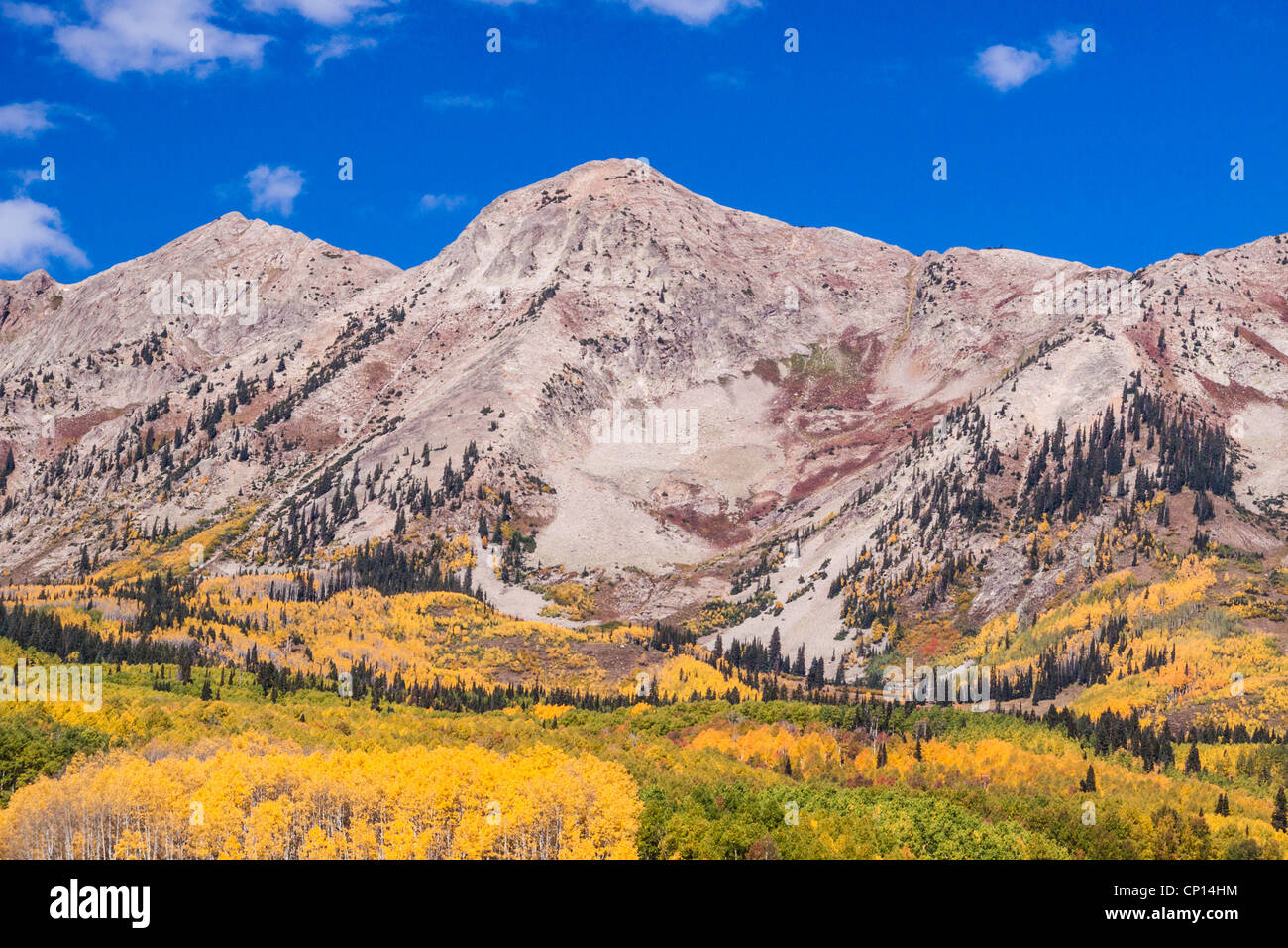 Autumn color with Aspens turning, in view of the Castle mountains via ...