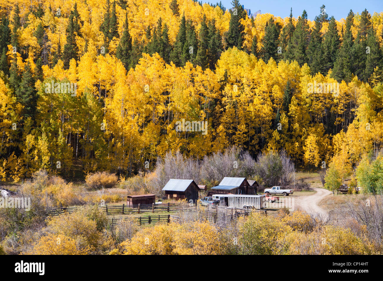 Ranching and farming in Colorado with autumn color with Aspens turning ...