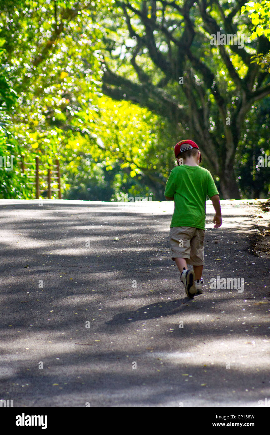 Four year old autistic boy wanders up a road in Waimea Valley Stock ...