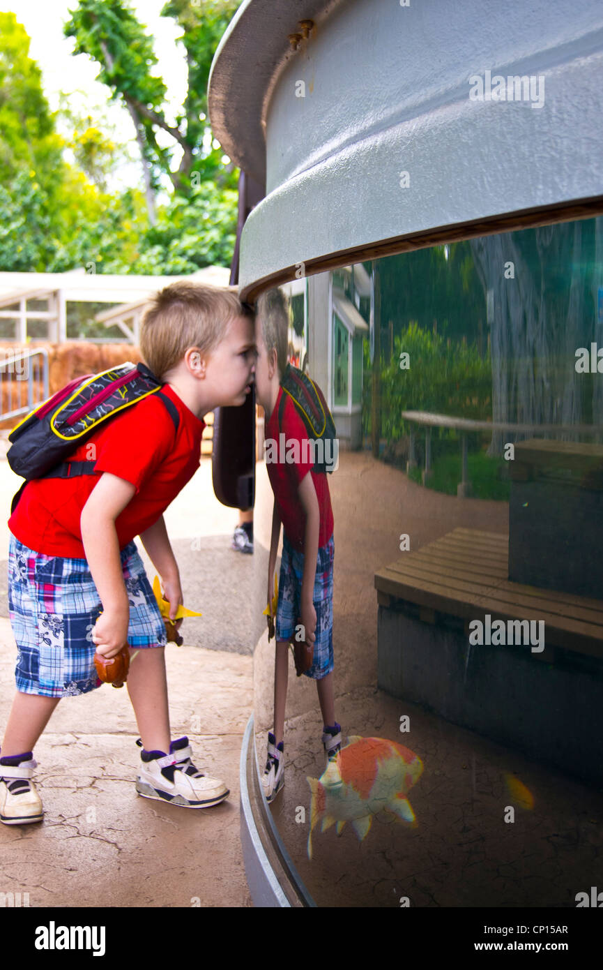 A four year old boy with autism gets a close up view of the fish in the ...