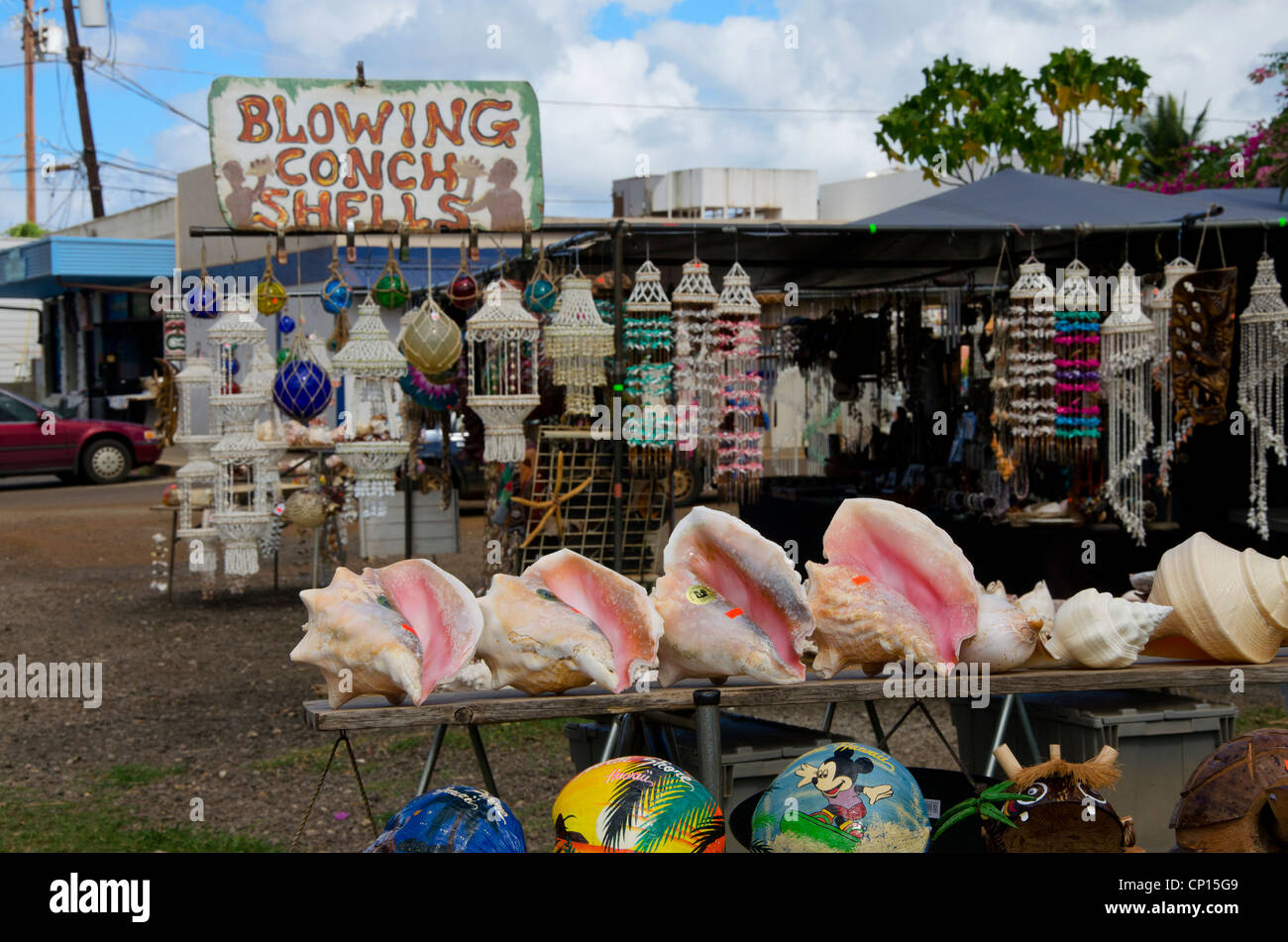 Conch stand High Resolution Stock Photography and Images - Alamy