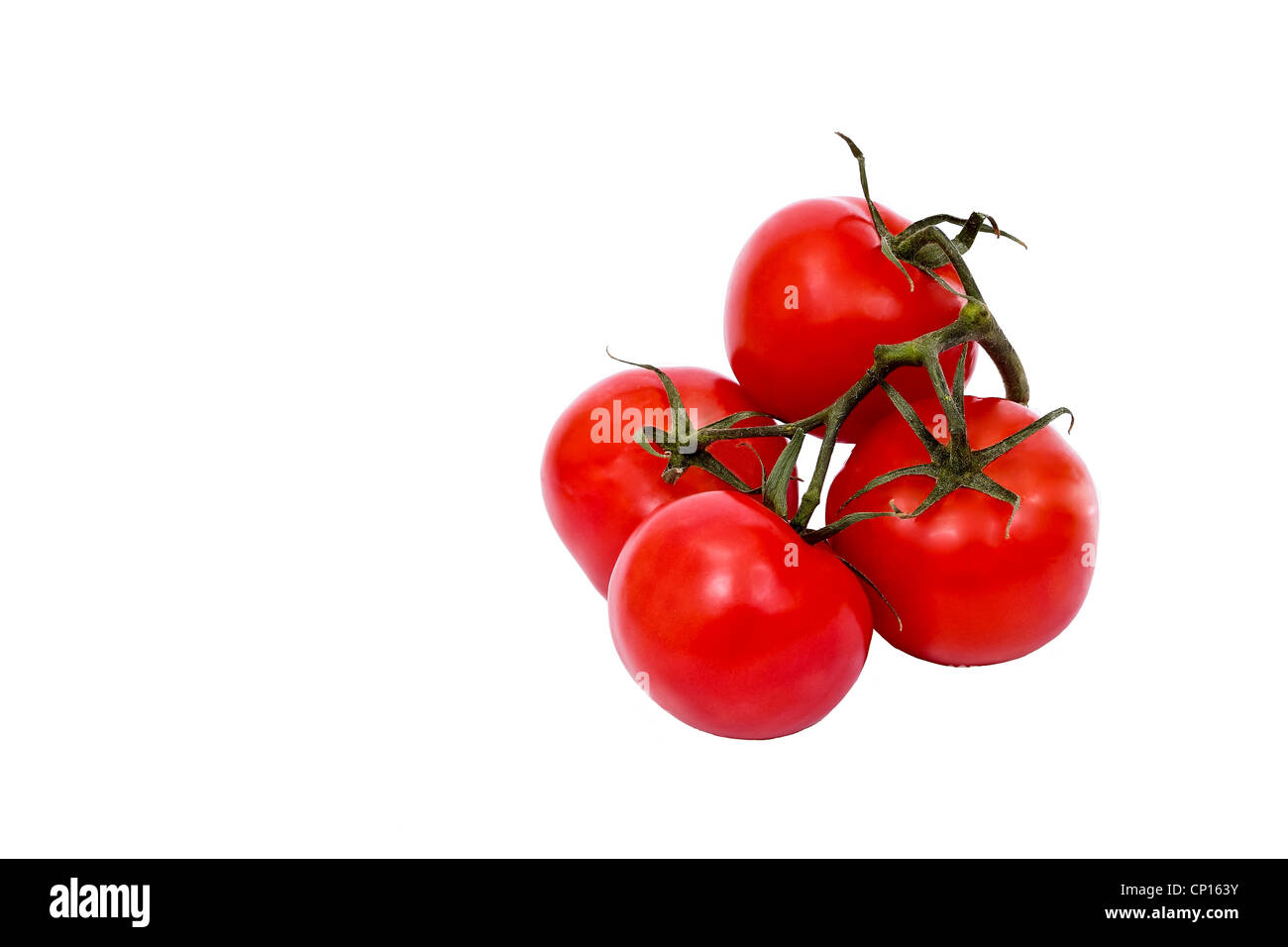a bunch of four tomatoes isolated on white with stems Stock Photo - Alamy