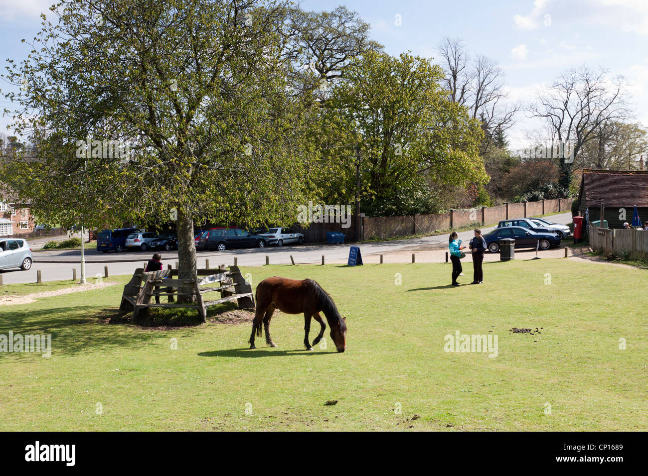 Minstead village green, New Forest, Hampshire, England, UK Stock Photo ...