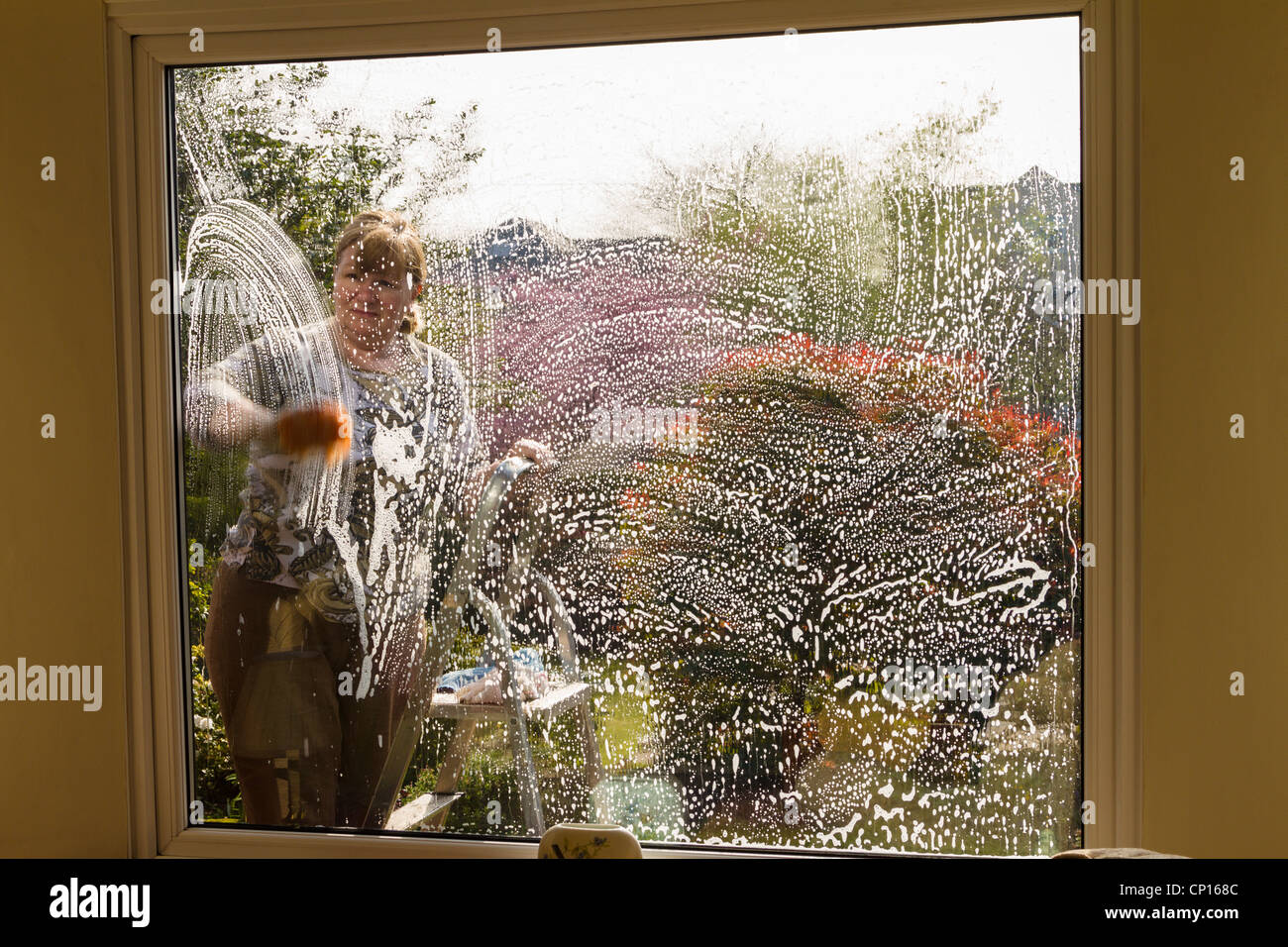 Woman washing window Stock Photo - Alamy