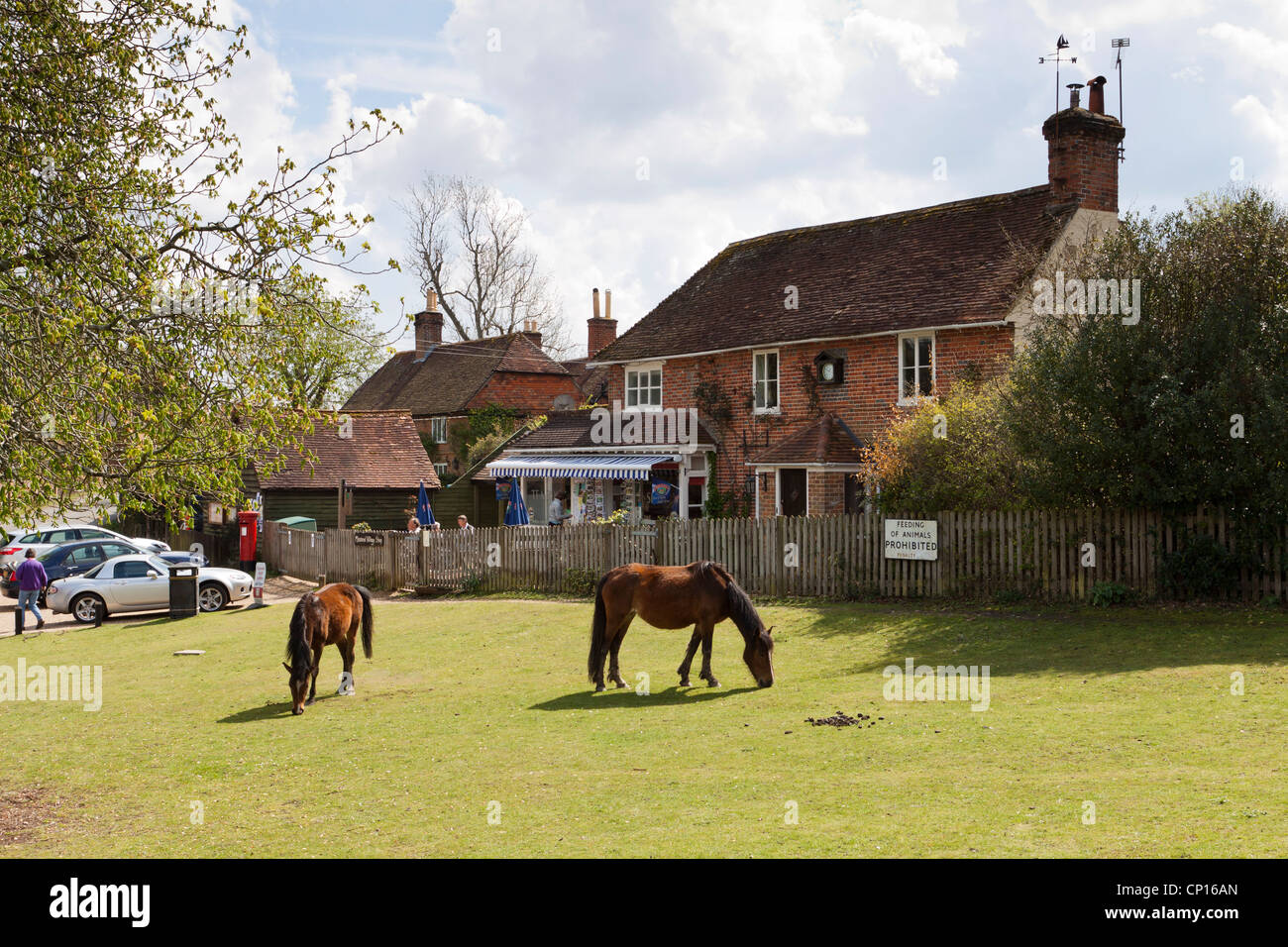 Minstead village green and ponies, New Forest, Hampshire, England, UK ...