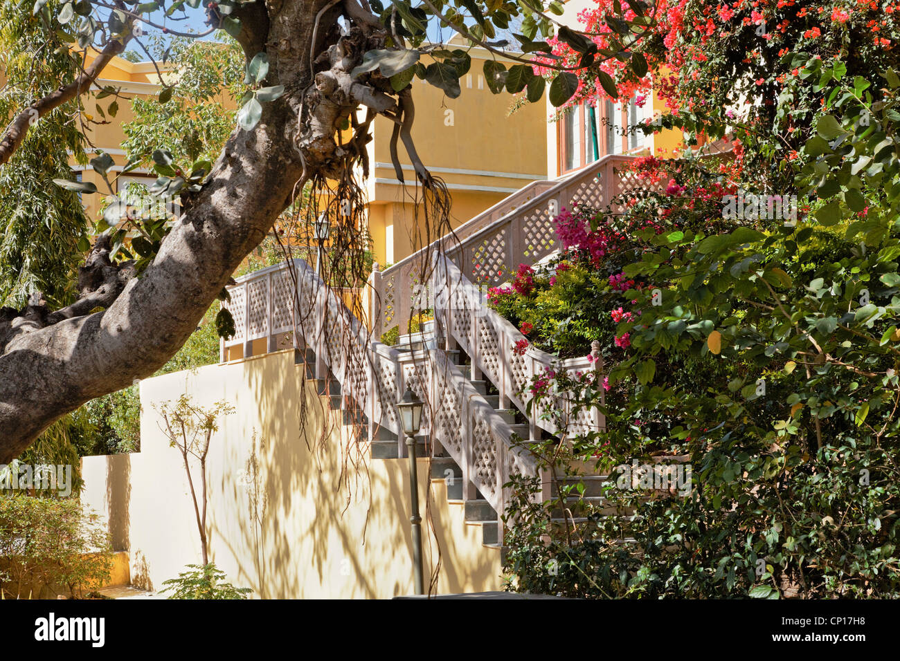 Generic garden landscape scene mature plants and rajasthan Indian ...