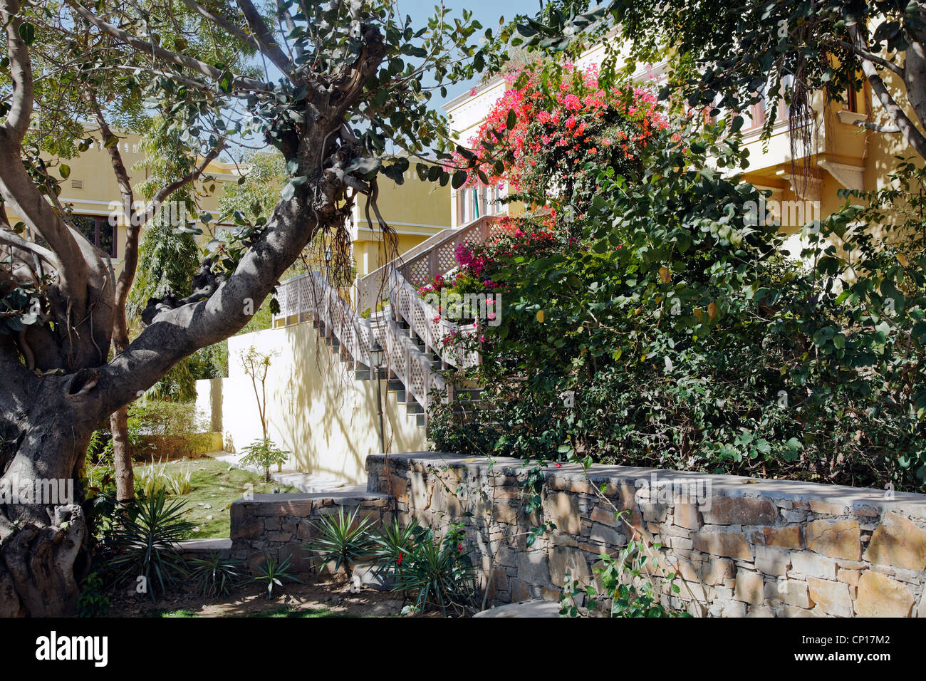 Generic garden landscape scene mature plants and Indian architecture ...