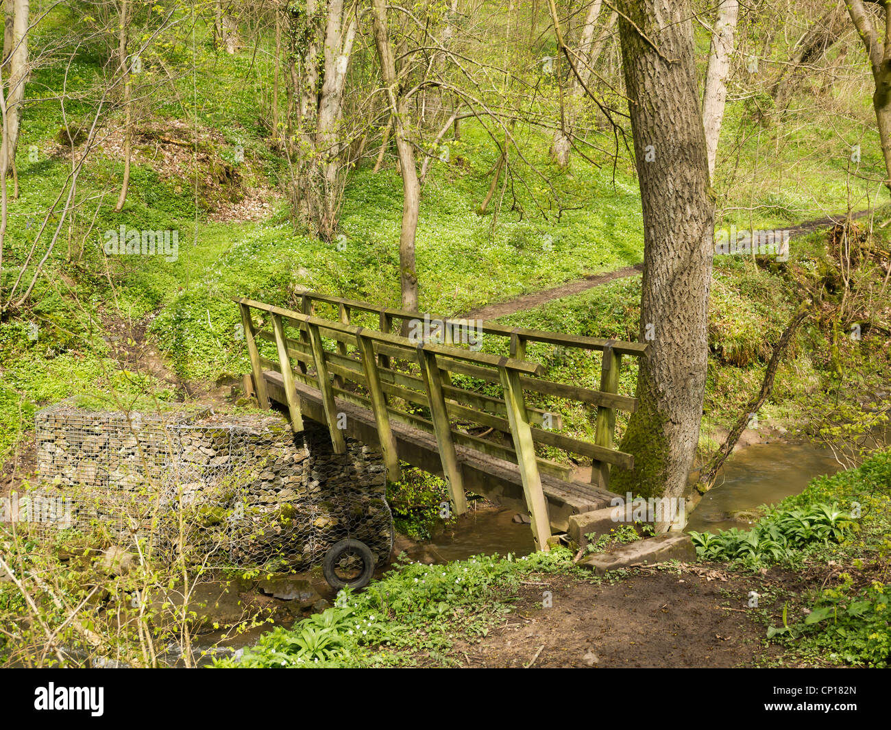 Hagg wood hi-res stock photography and images - Alamy