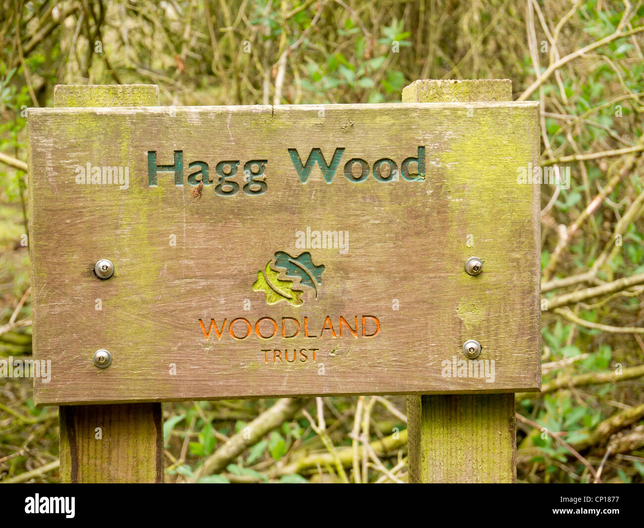 A sign for Hagg Wood managed by the Woodland Trust near Moorsholm in ...