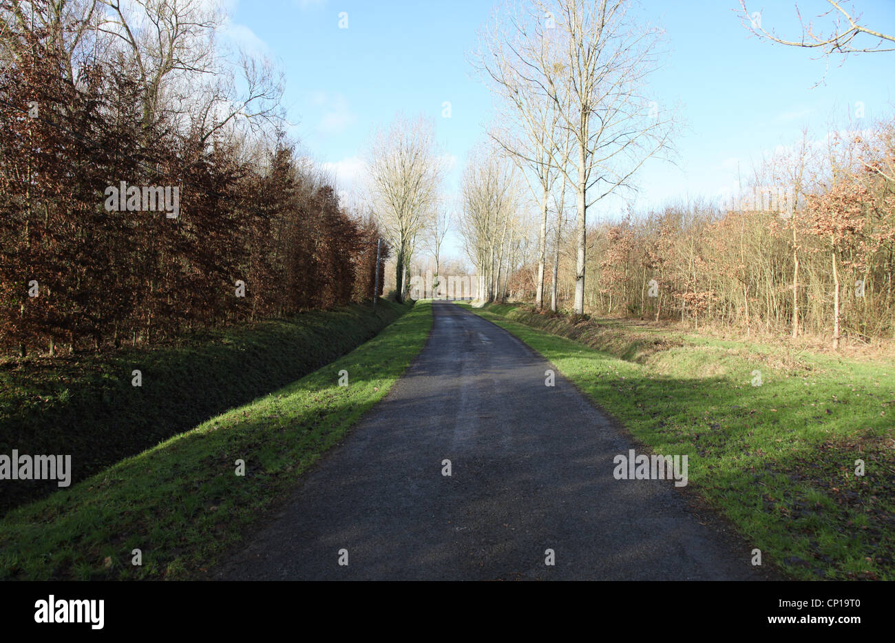 It's a photo of the countryside in Normandy, France. A small road with ...