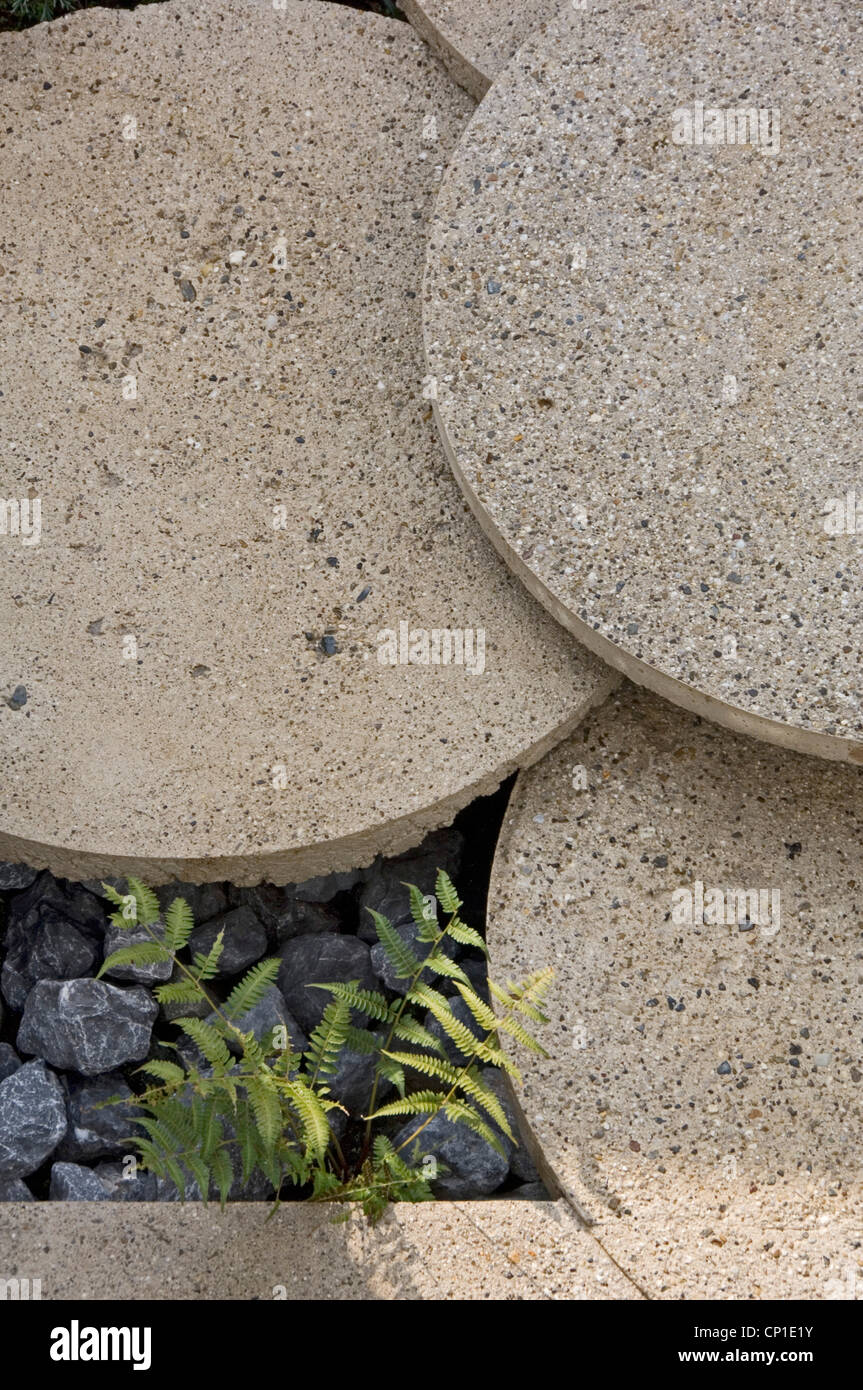 Fern foliage growing between round stone paving slabs Stock Photo - Alamy