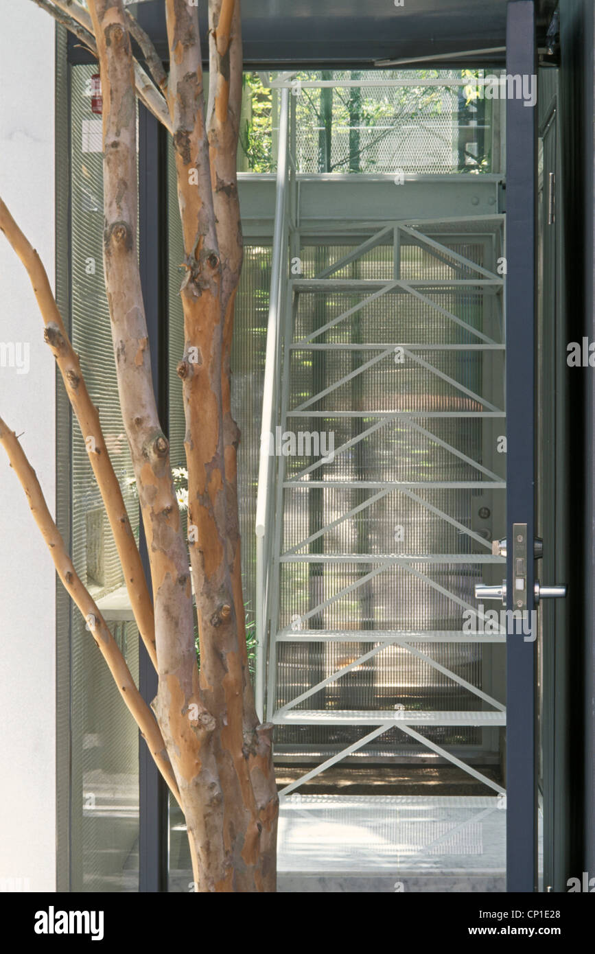 Tree in front of open door with view to staircase Stock Photo - Alamy