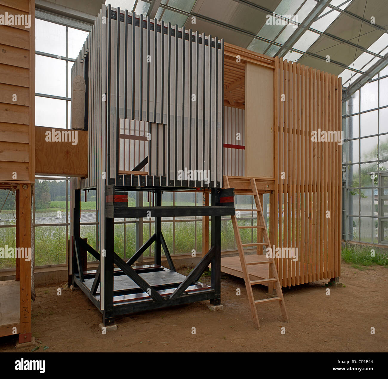 Ladder stilts hi-res stock photography and images - Alamy