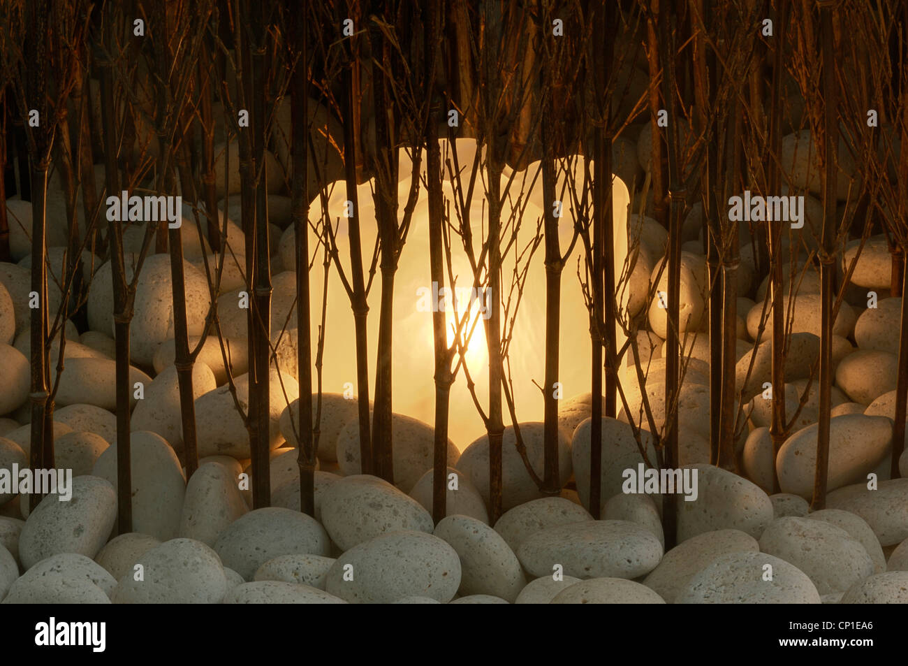 Bamboo growing in stones in contemporary Japanese garden Stock Photo ...