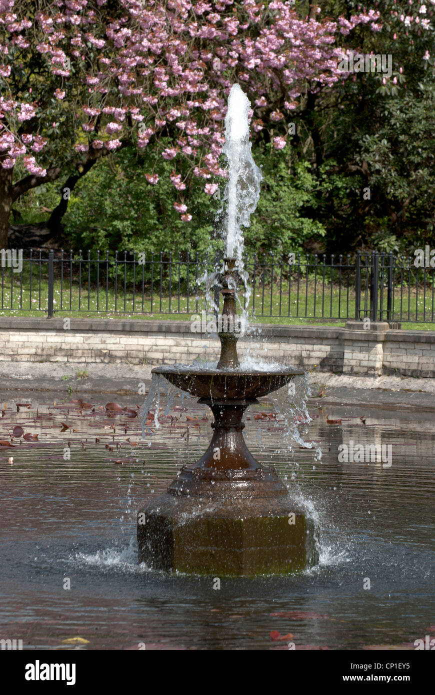 Cherry blossom and fountain hi-res stock photography and images - Alamy