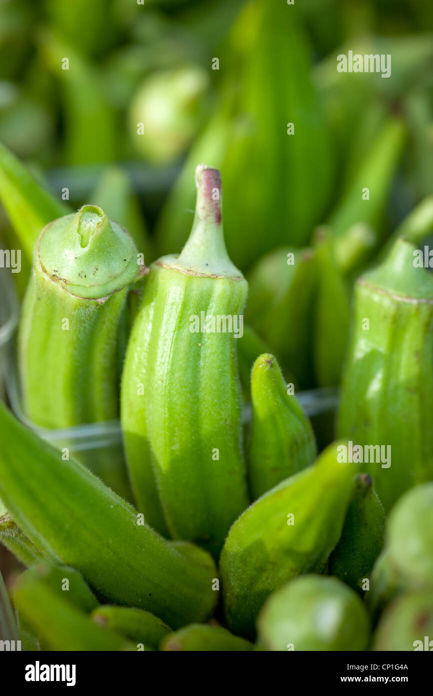 Green okra hi-res stock photography and images - Alamy
