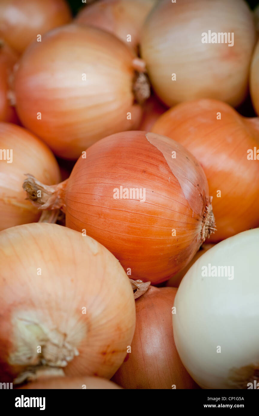 With onions hi-res stock photography and images - Alamy