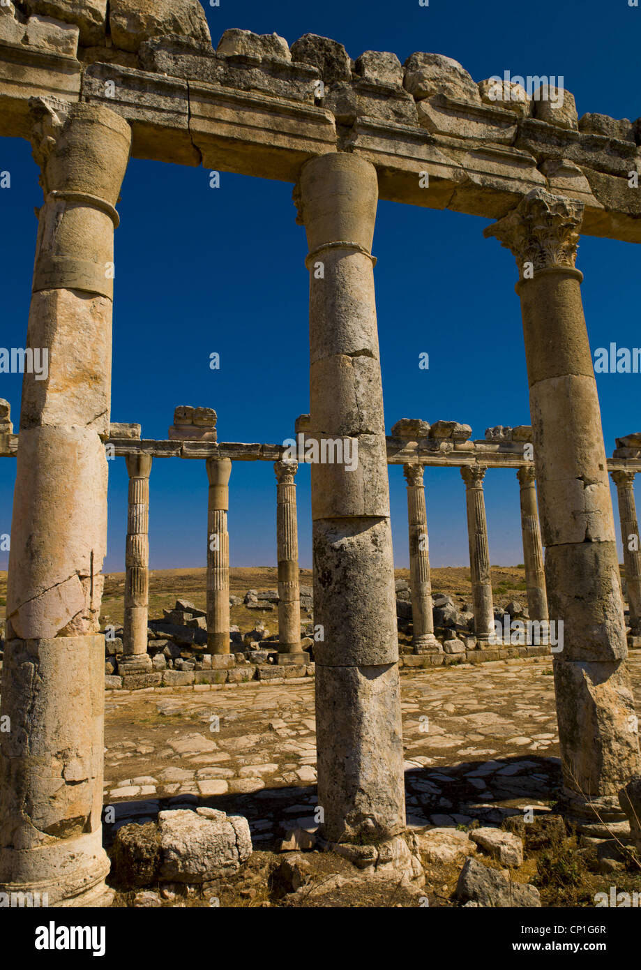 Columned Ancient Street, Apamea, Syria Stock Photo - Alamy