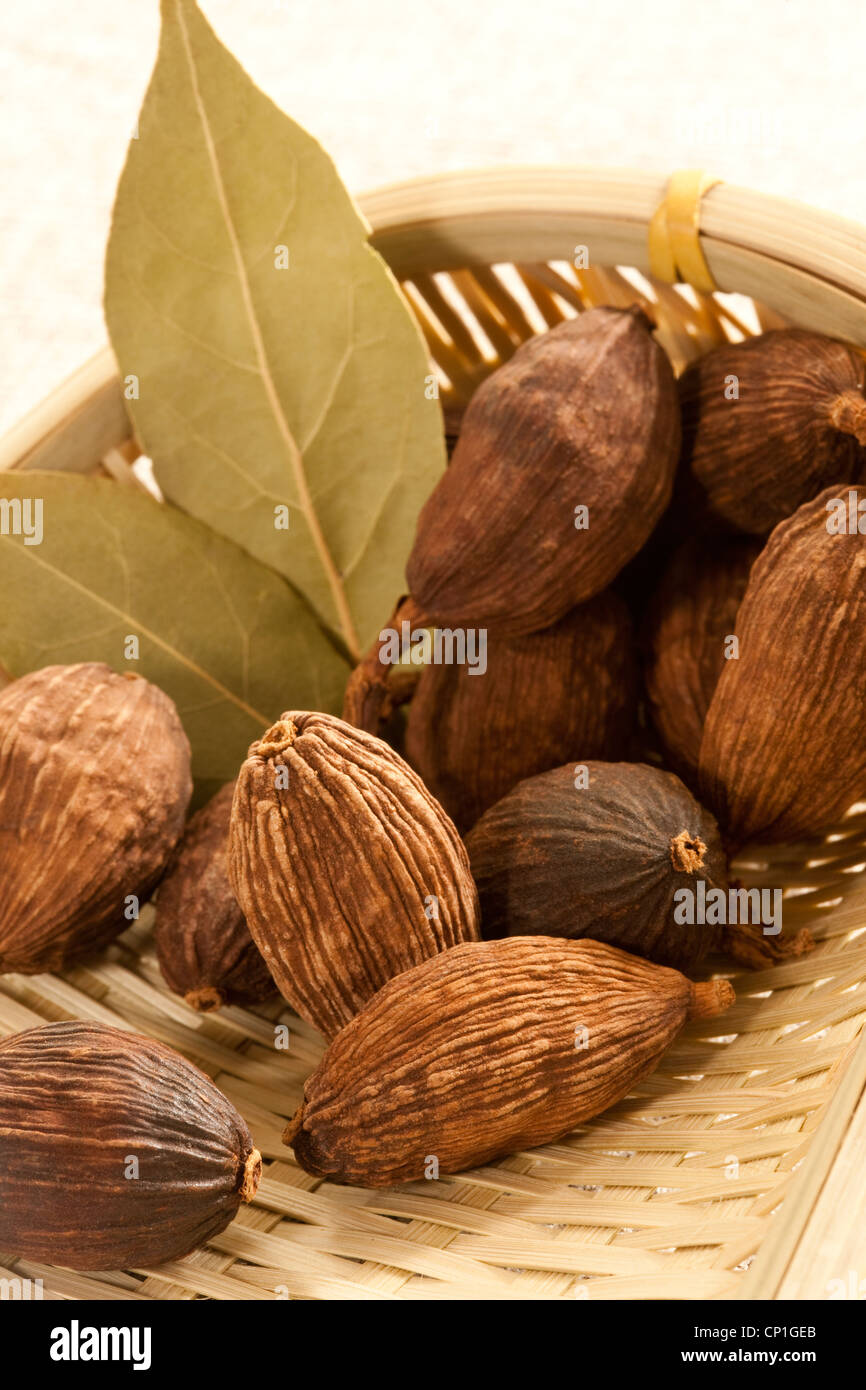 Close-up of Tsaoko Amomum Fruit Stock Photo - Alamy