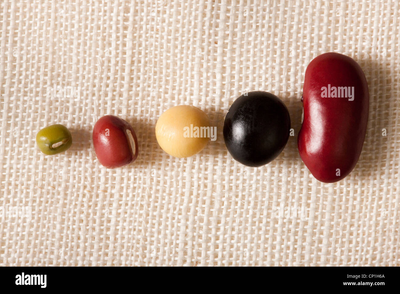 Close-up of different beans Stock Photo - Alamy