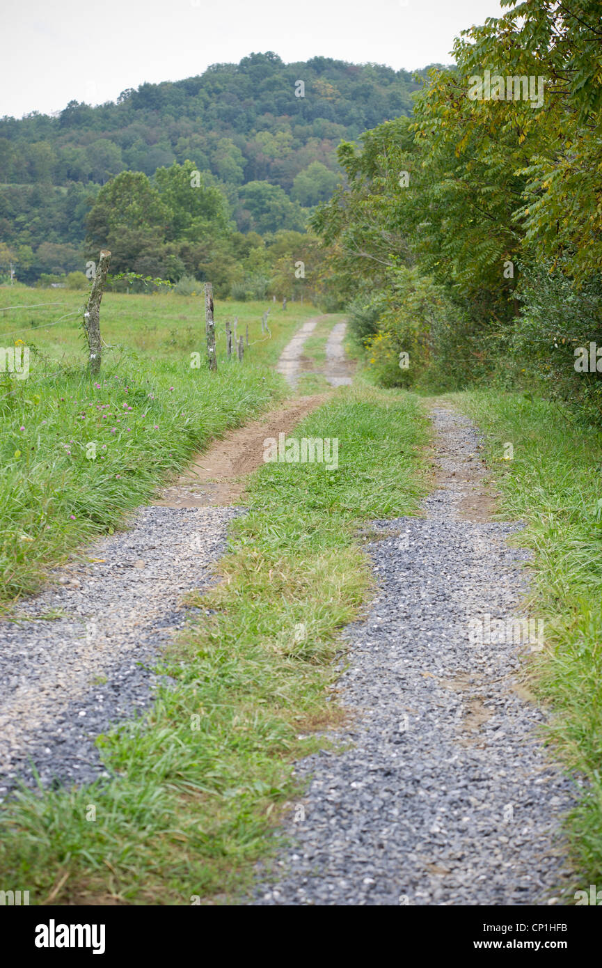 Gravel road through farm pasture Stock Photo - Alamy