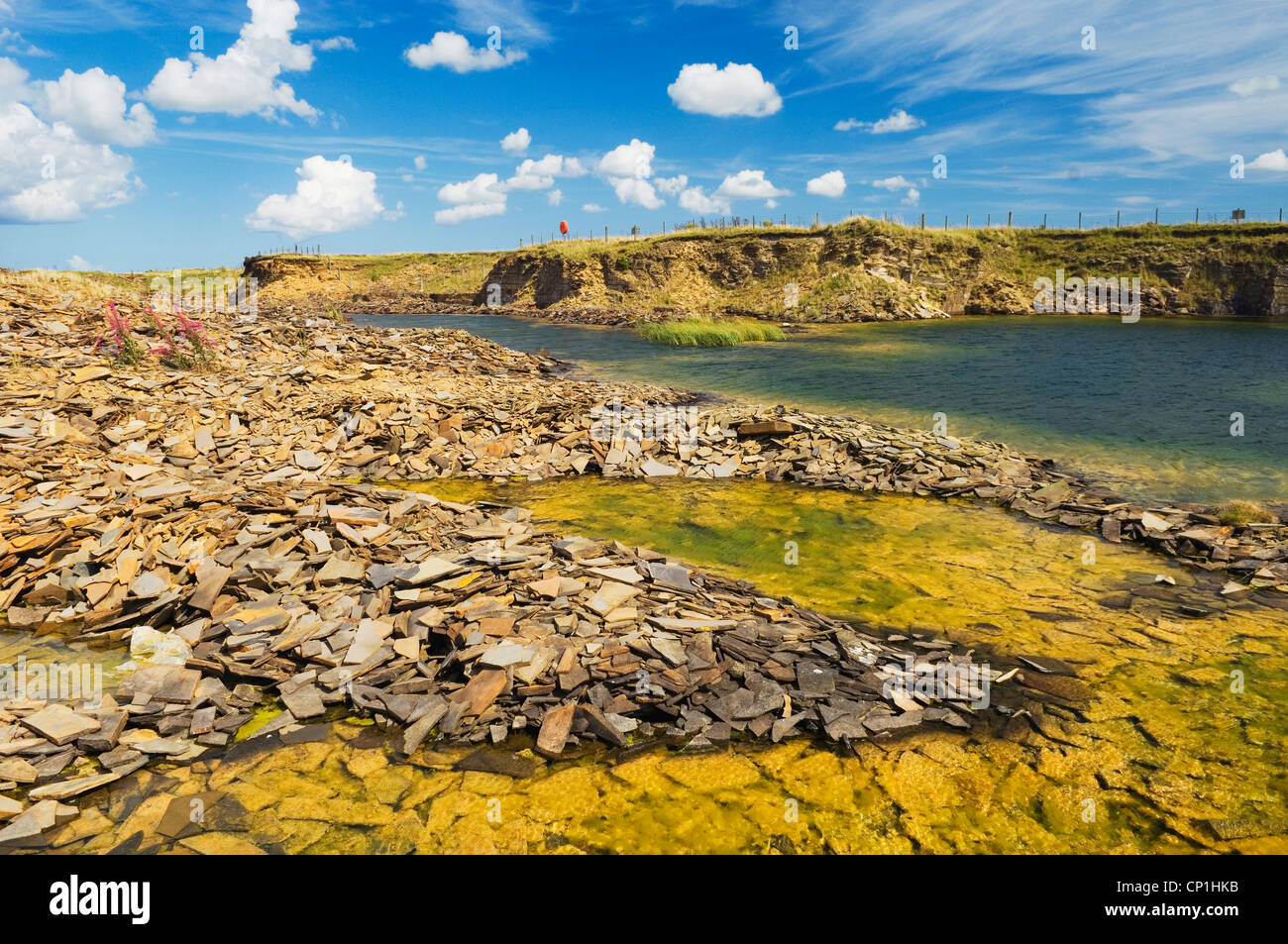 Spittal rocks hi-res stock photography and images - Alamy