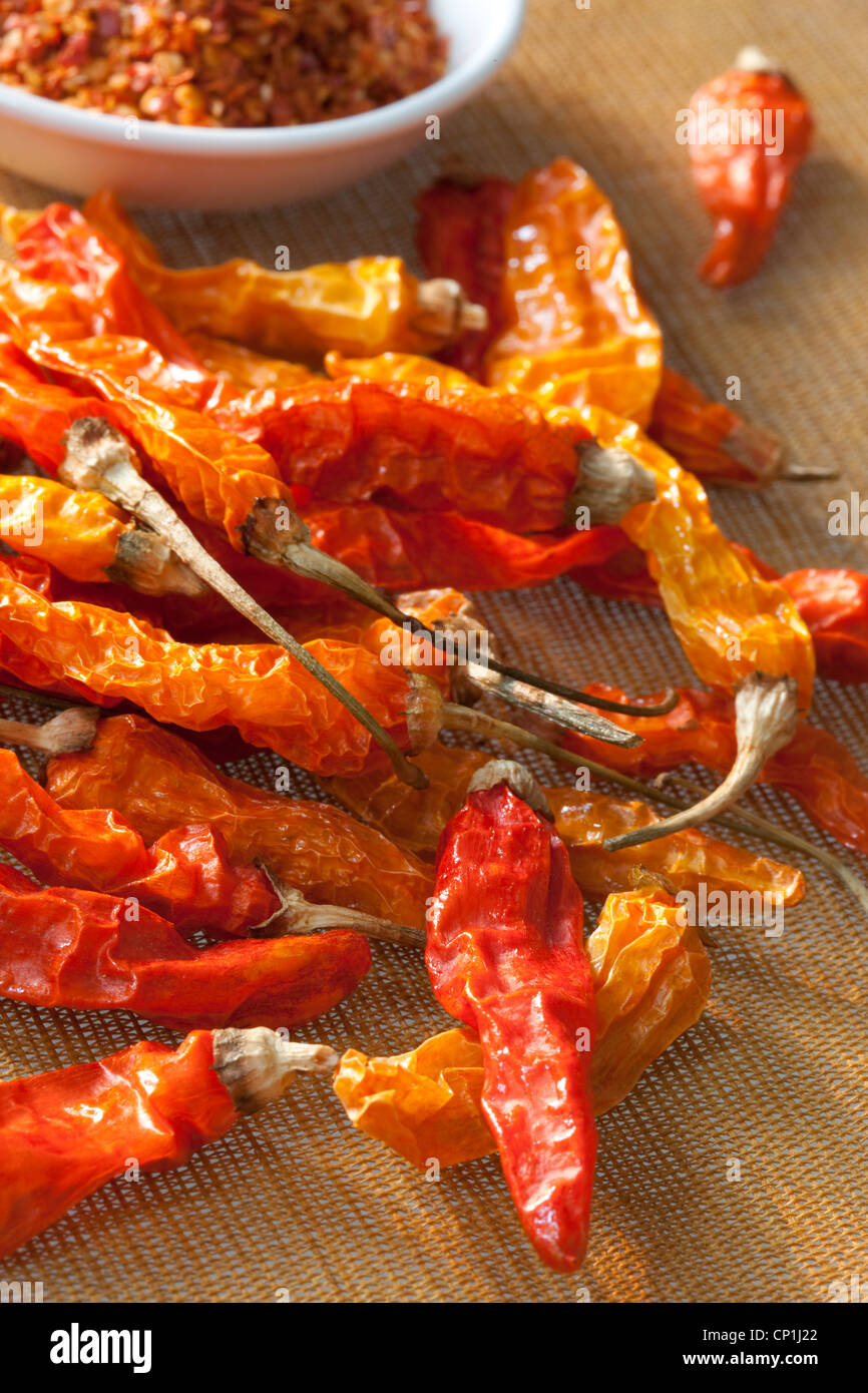 Dry Chili Pepper and red chilli powder Stock Photo - Alamy