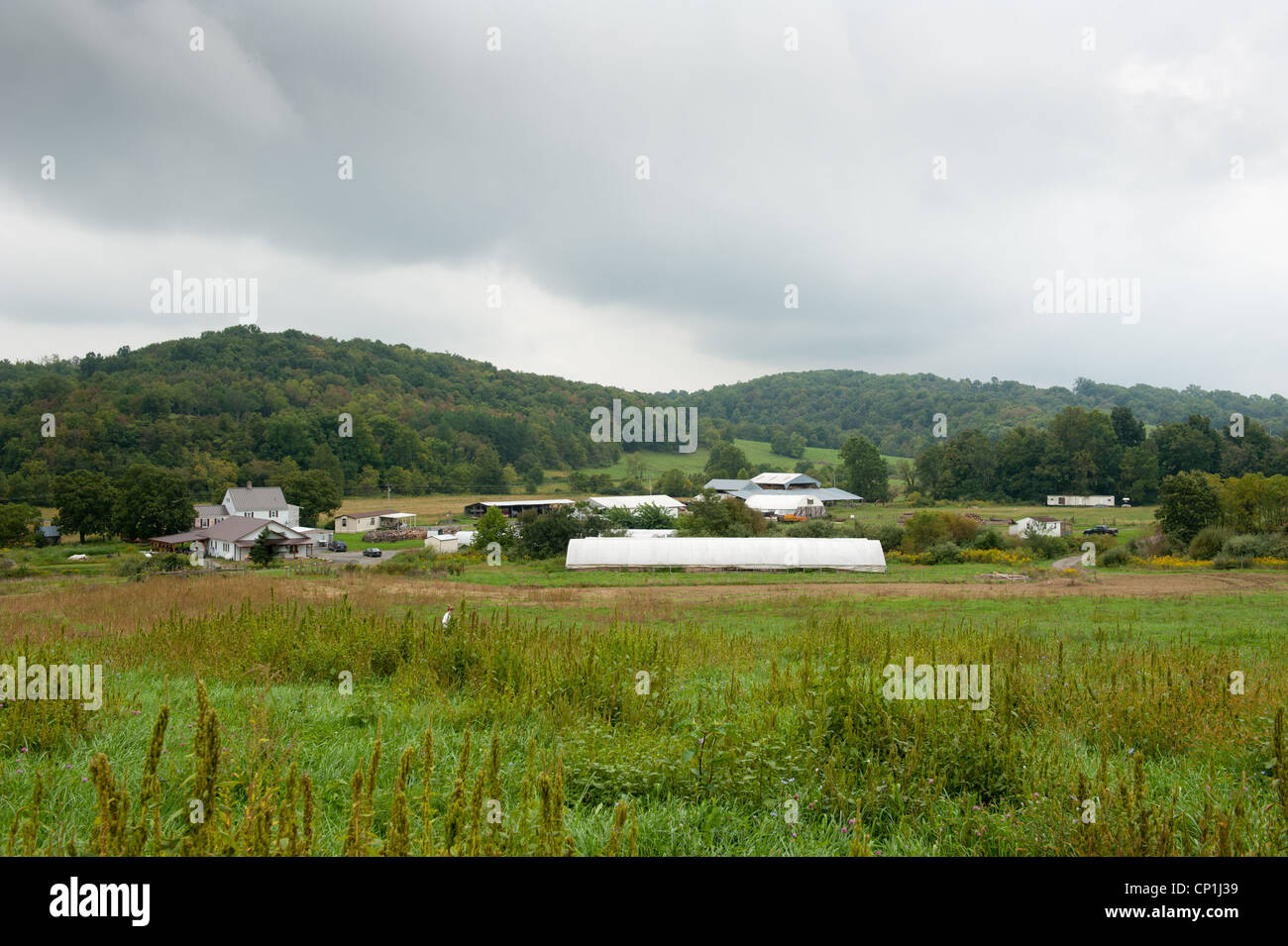 Farmhouse, barns and pasture on hillside in mountainous region in ...