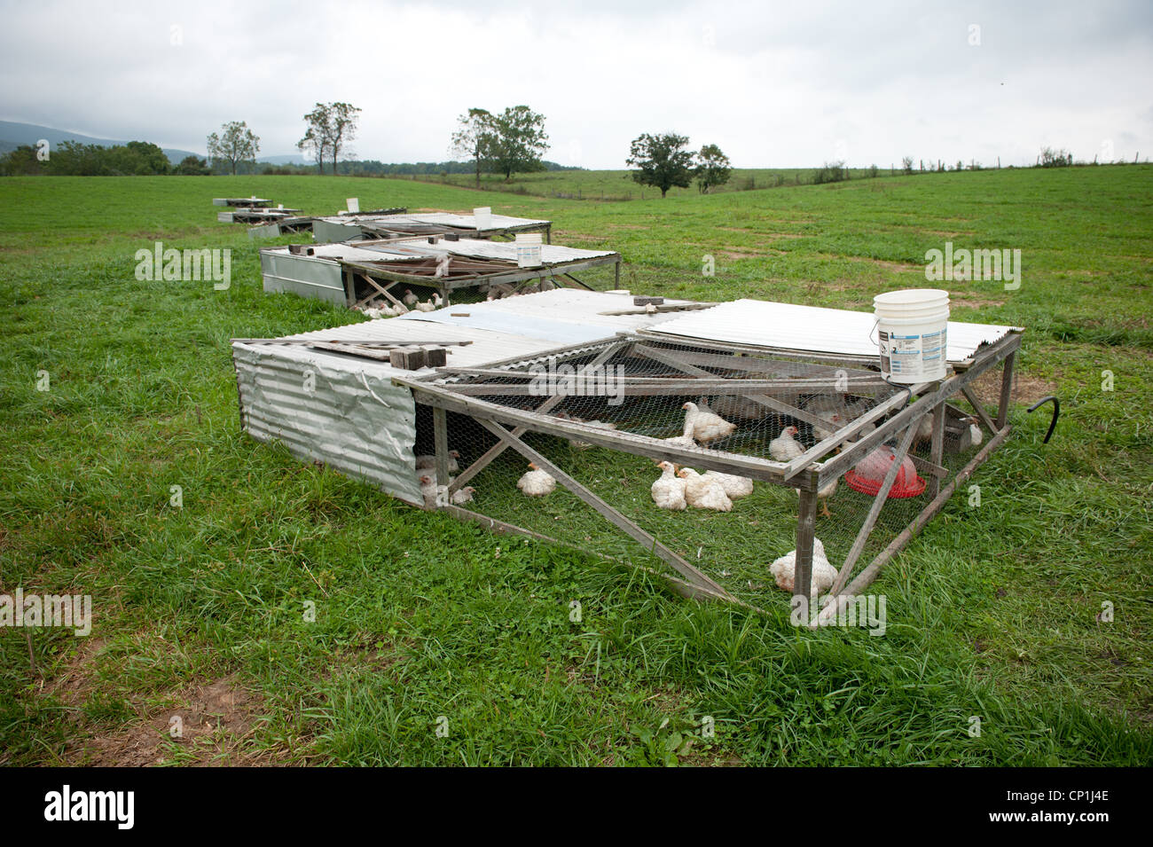 Chicken house farm hi-res stock photography and images - Alamy