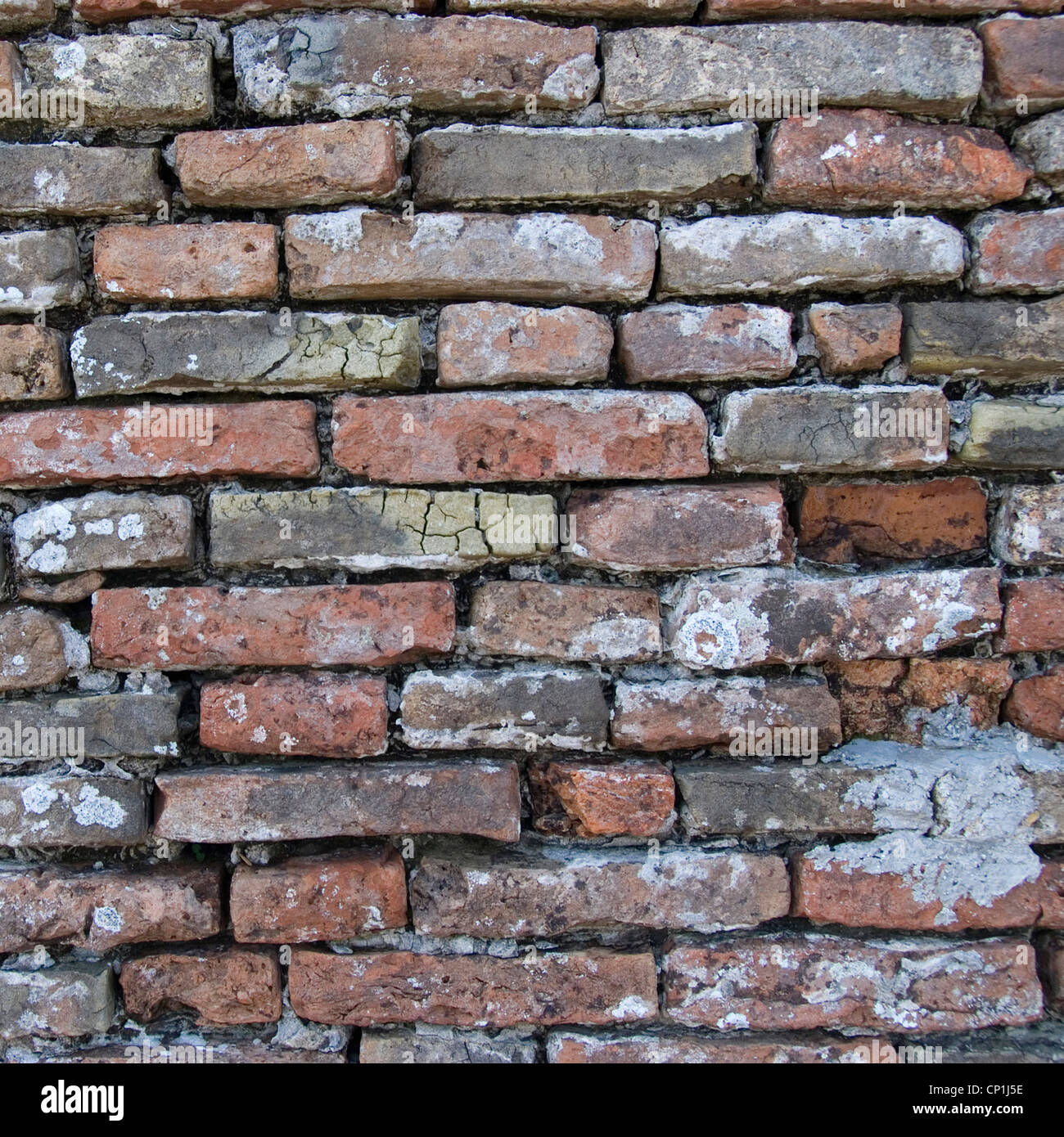 Brick wall, Venice Stock Photo - Alamy