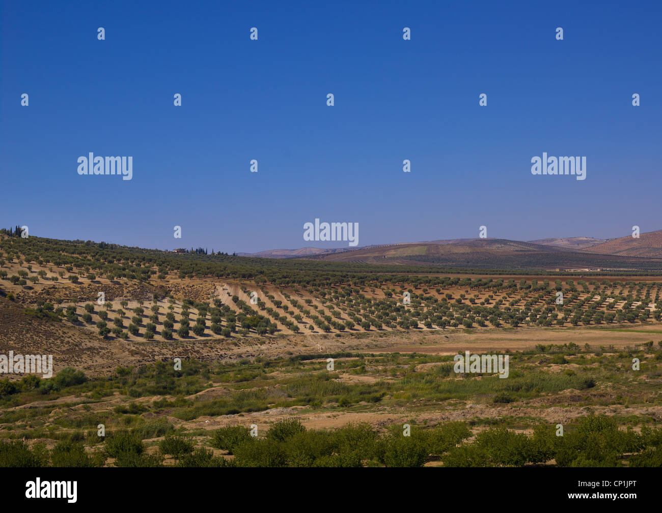 Hama landscape, Syria Stock Photo - Alamy