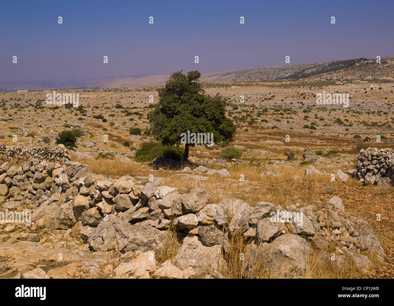 Landscape In Refade, Syria Stock Photo - Alamy