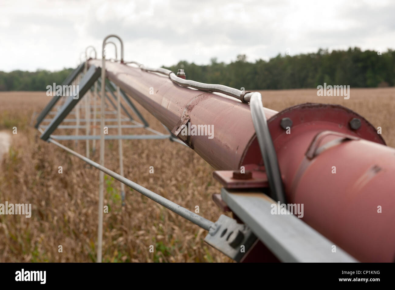 Irrigation system over corn crop Stock Photo - Alamy
