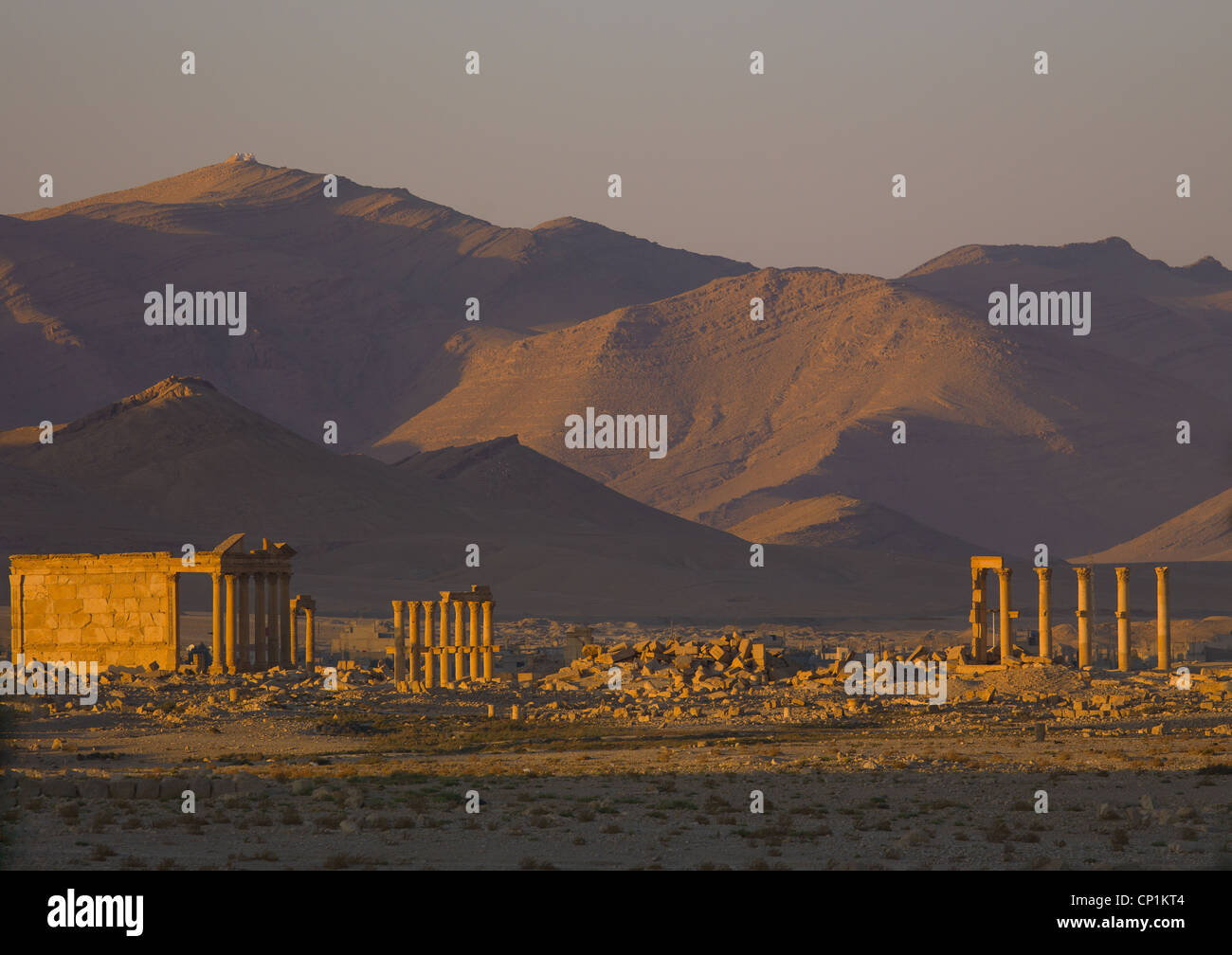 The Ancient Roman city of Palmyra, Syria Stock Photo - Alamy