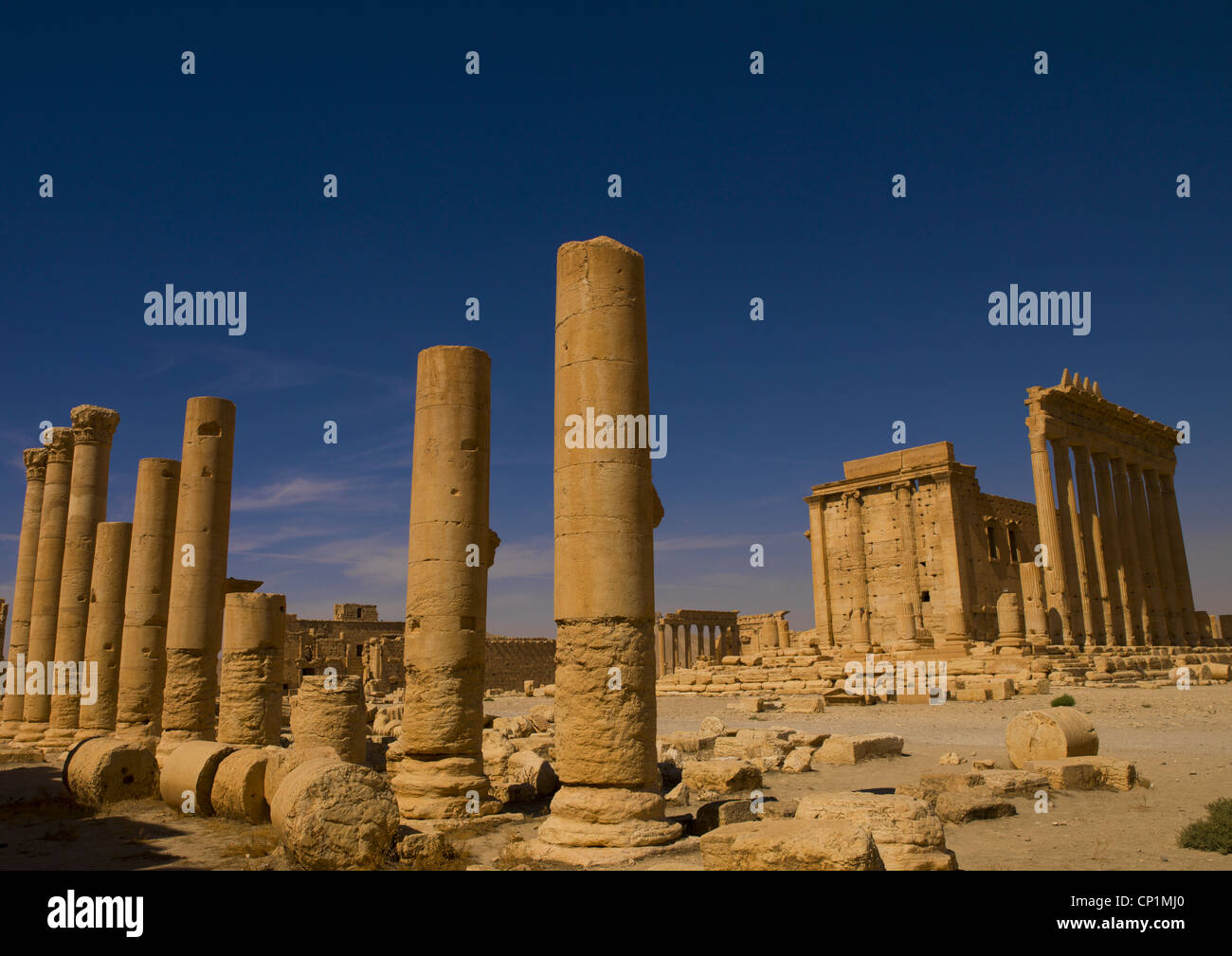 The Ancient Roman city of Palmyra, Syria Stock Photo - Alamy