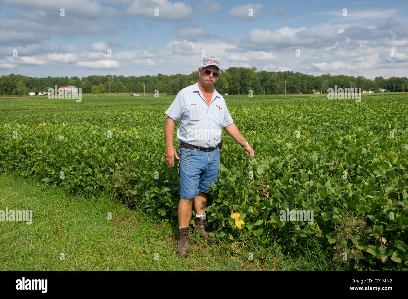 Farmer standing in front of crop on farm Stock Photo - Alamy