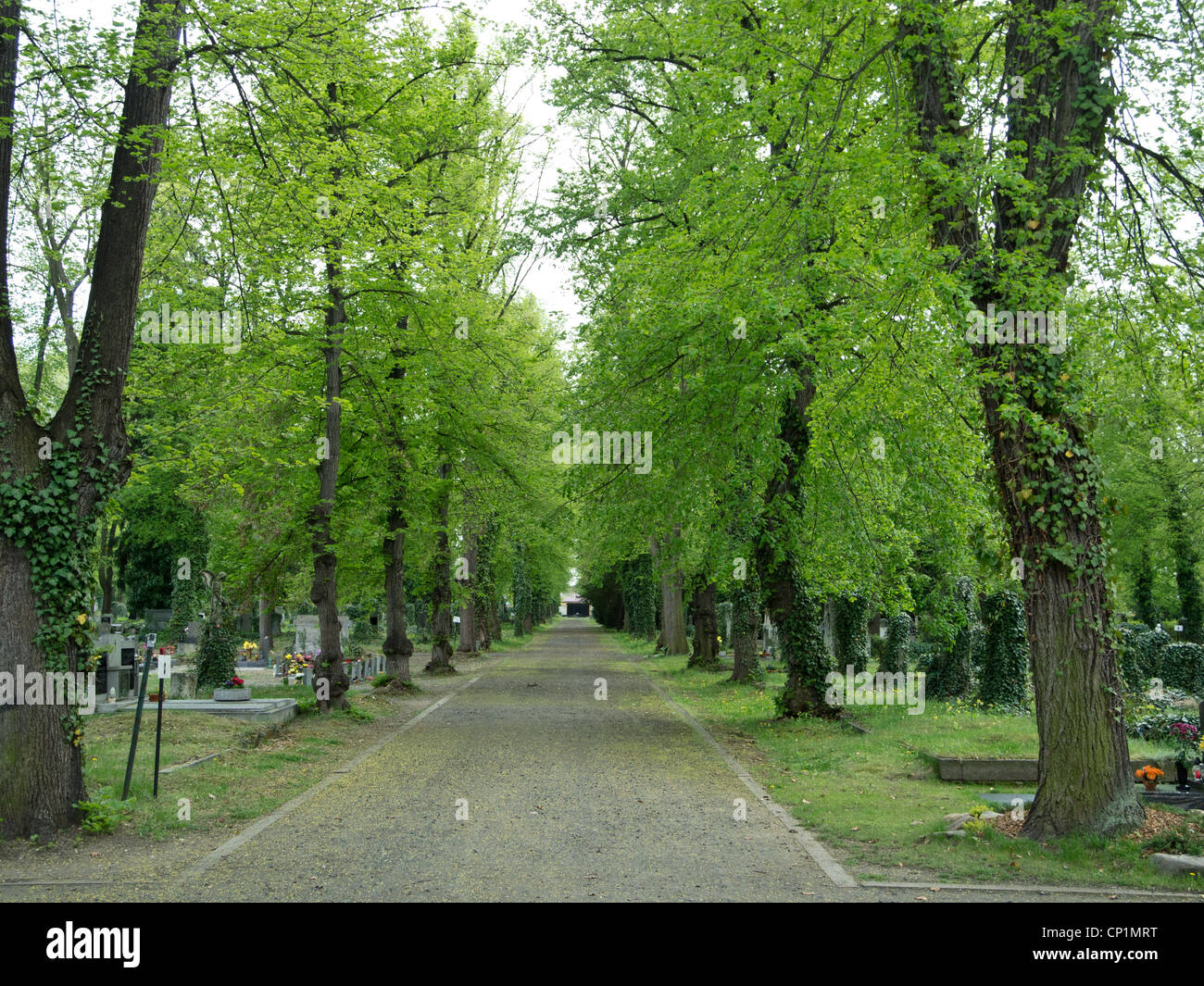 Geaveyard hi-res stock photography and images - Alamy