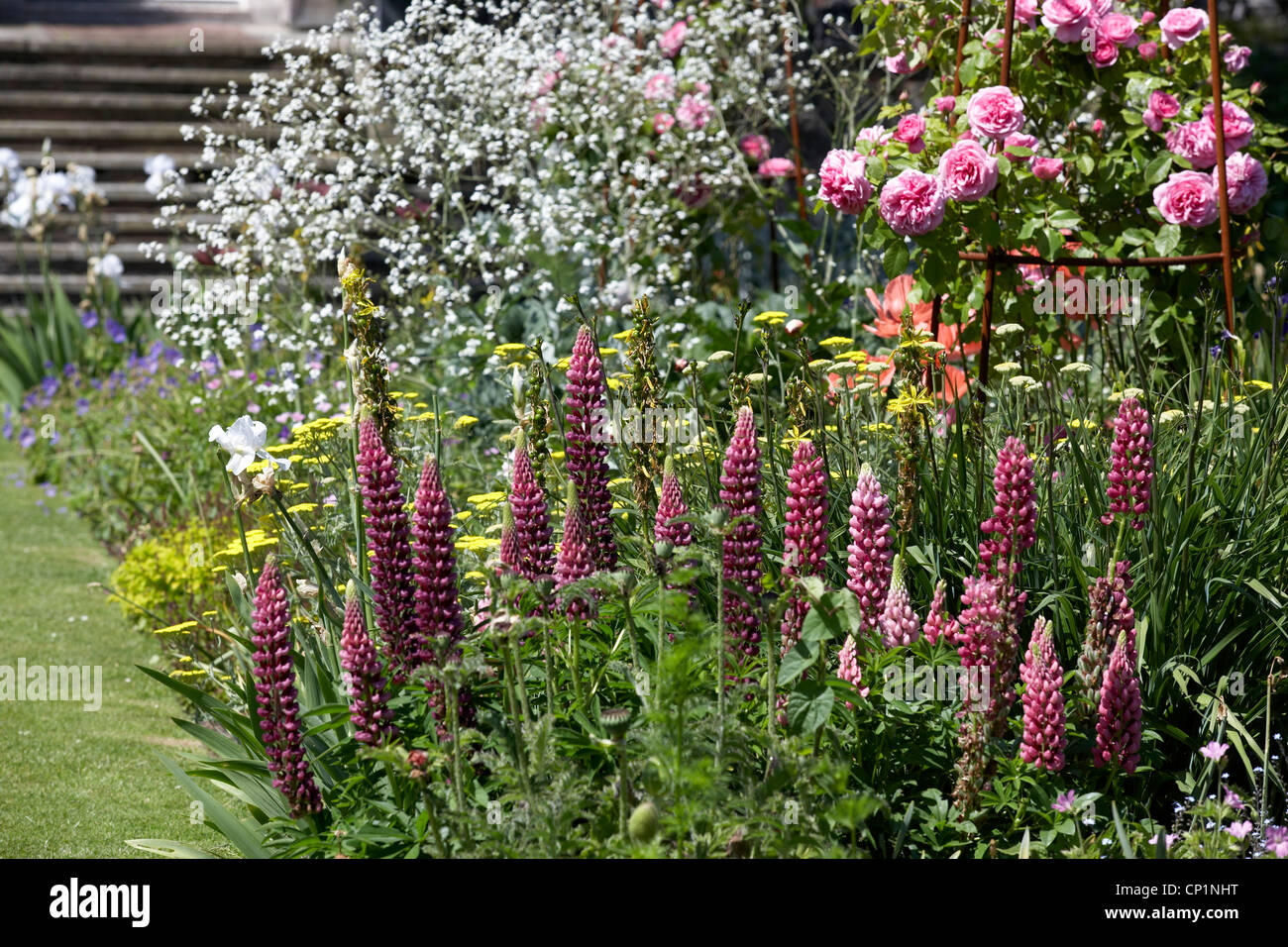 Salutation gardens sandwich hi-res stock photography and images - Alamy