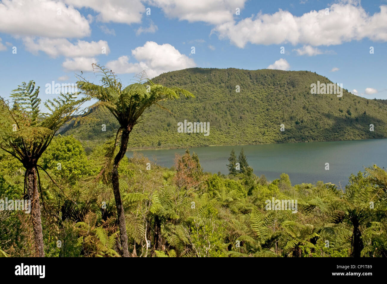 Lake rotokakahi hi-res stock photography and images - Alamy