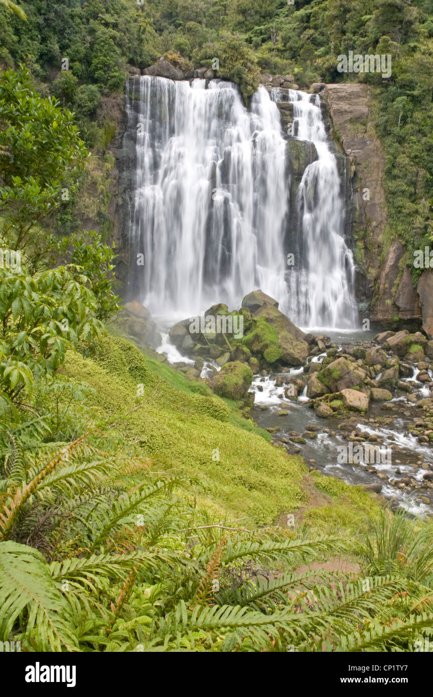 Marokopa Falls, North Island, New Zealand Stock Photo - Alamy