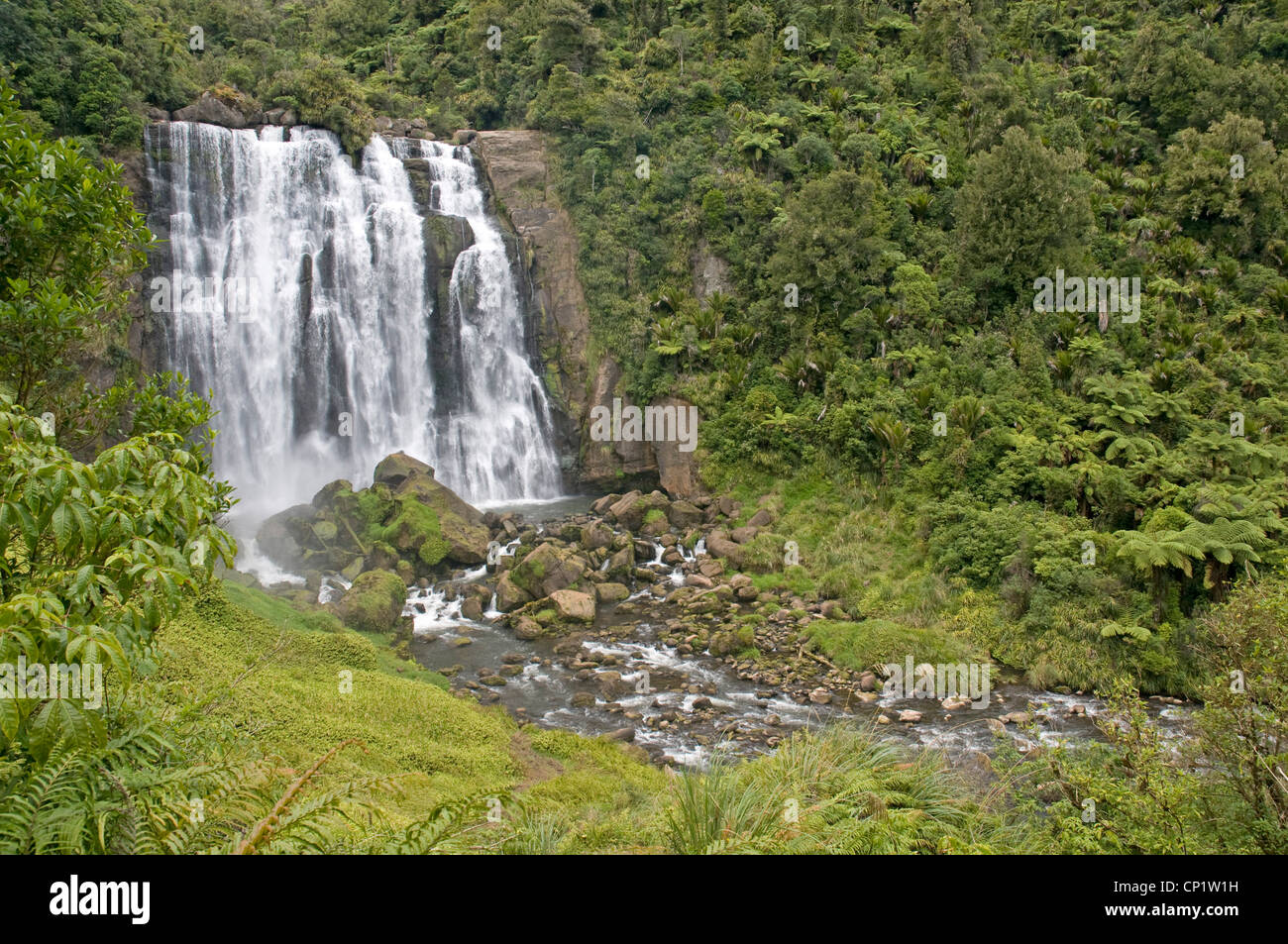 Marokopa Falls, North Island, New Zealand Stock Photo - Alamy