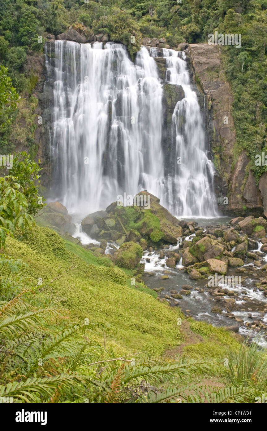 Marokopa Falls, North Island, New Zealand Stock Photo - Alamy