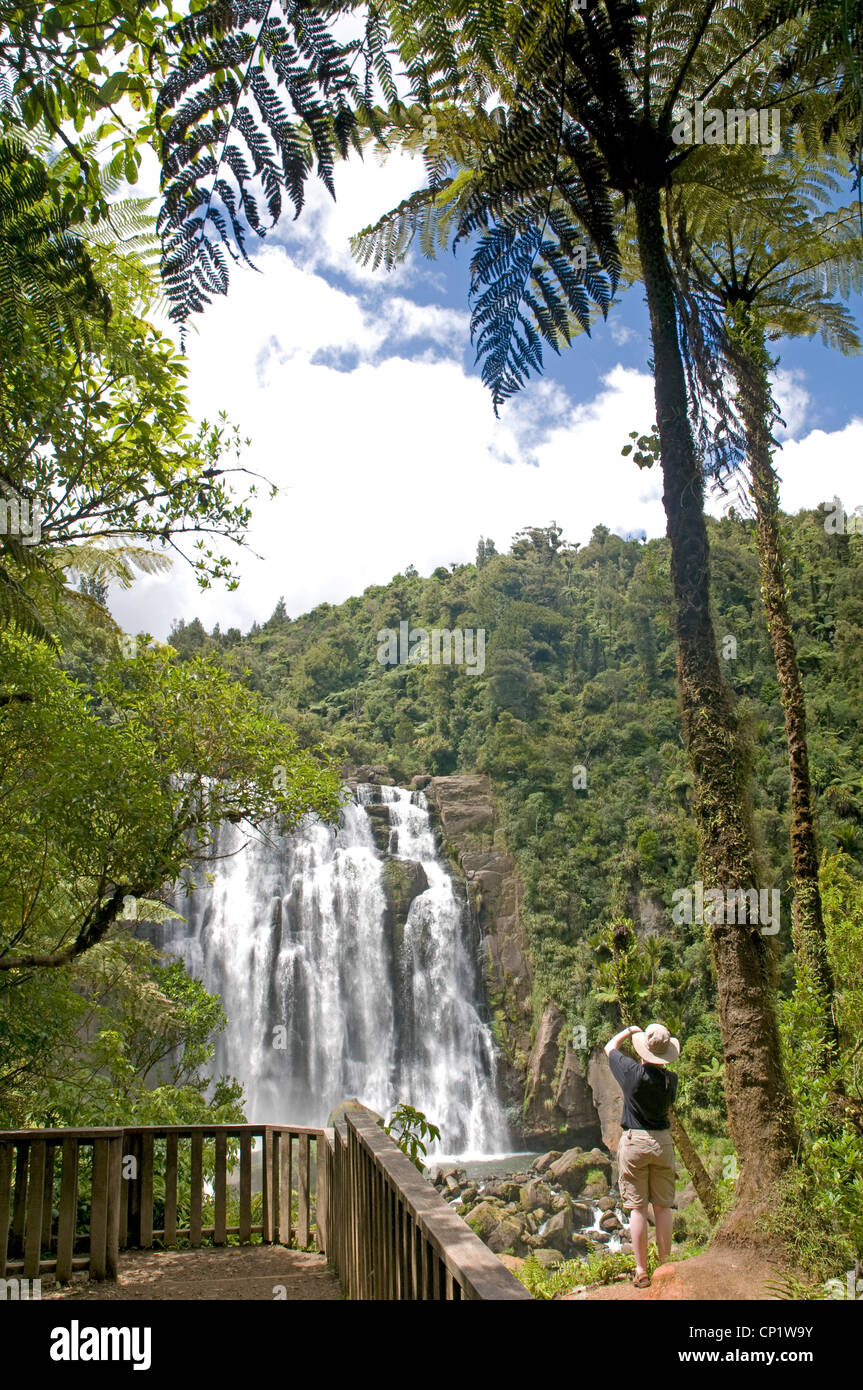 Marokopa Falls, North Island, New Zealand Stock Photo - Alamy