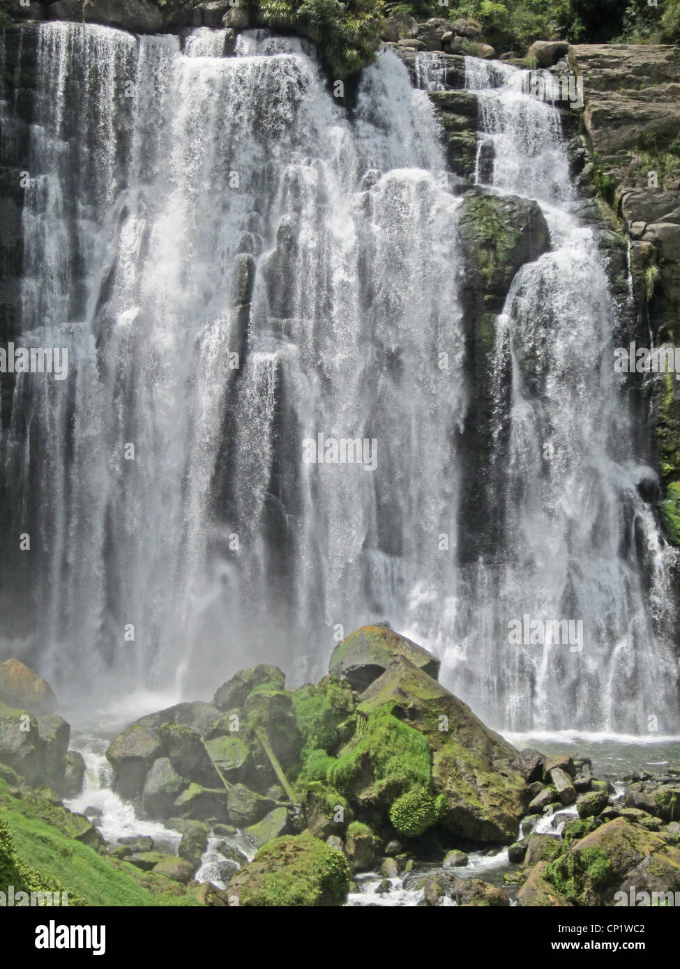 Marokopa Falls, North Island, New Zealand Stock Photo - Alamy