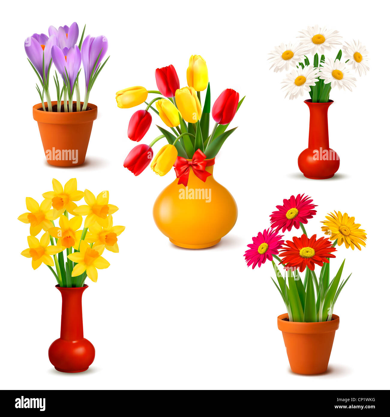Colorful flowers in vases Stock Photo - Alamy