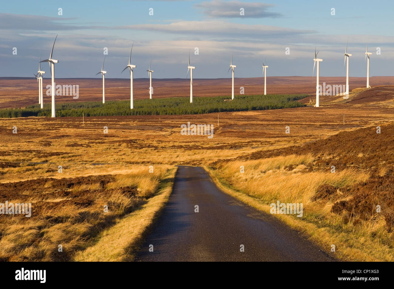 Windfarm at Houstry, Caithness, Scotland Stock Photo - Alamy