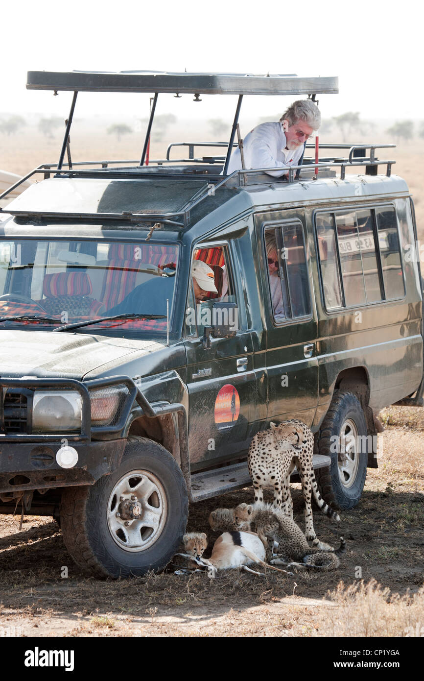 Human cheetah hi-res stock photography and images - Alamy