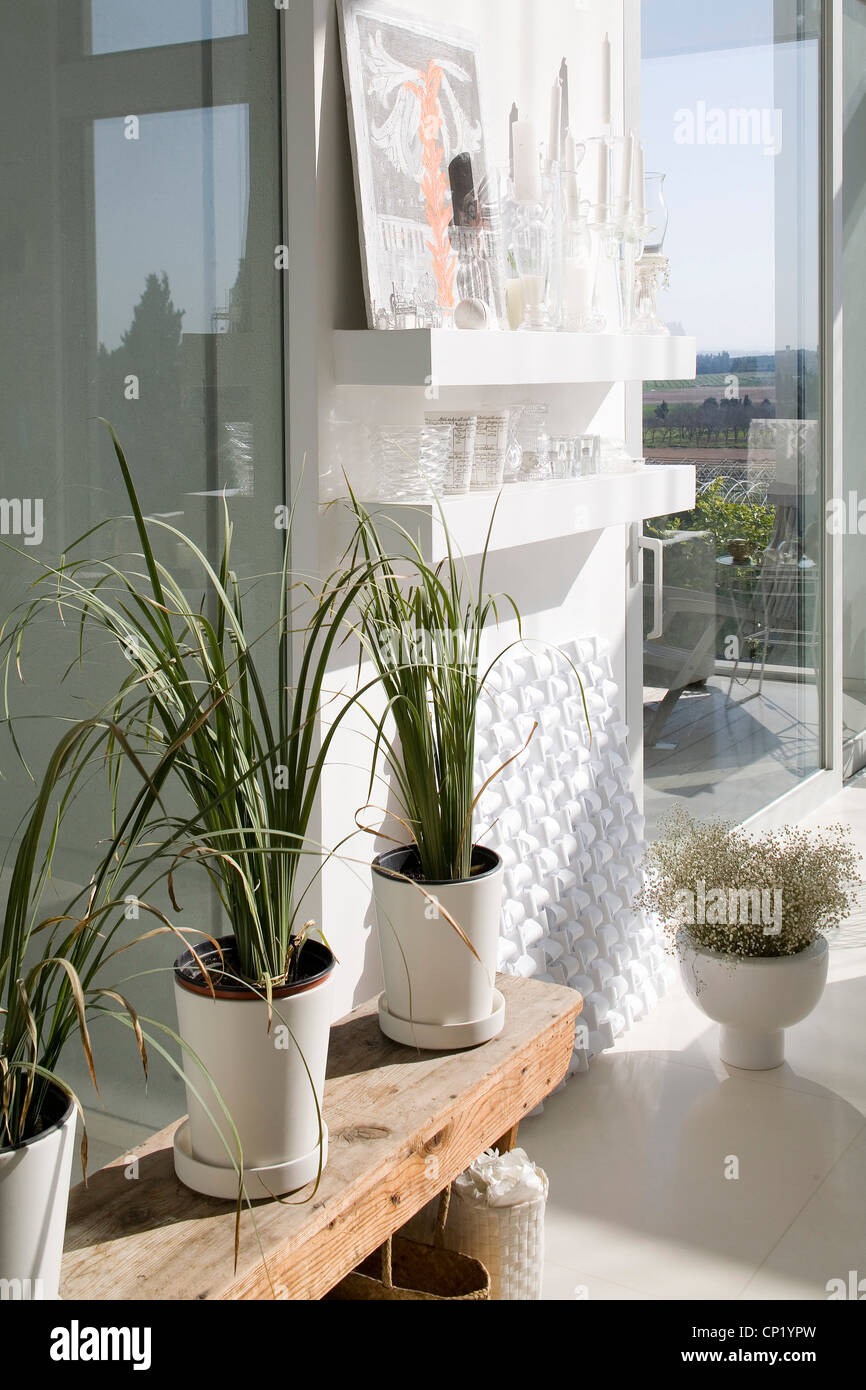 Houseplants on wooden bench, Rishpon, Israel, Architects: Architects ...