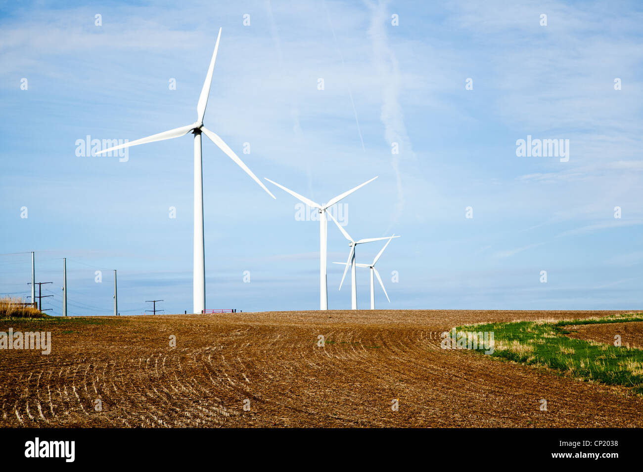 Picked corn field hi-res stock photography and images - Alamy