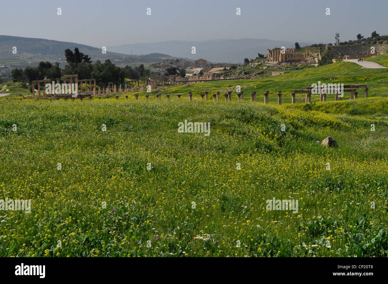 Gilead jordan hi-res stock photography and images - Alamy